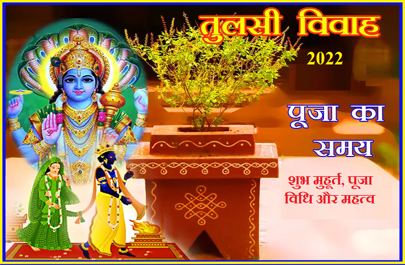 Tulsi Marriage Date 2022 Auspicious Time Vidhi And Importance Tulsi